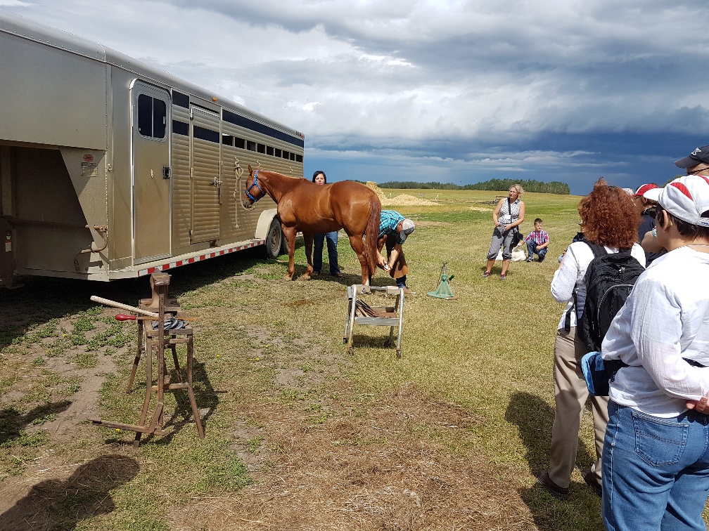Bus Tour Recap - Farms and Food with a little bit of History - Edmonton ...